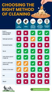 The Ultimate Guide on How to Clean Animal Bones for Display (Step by ...